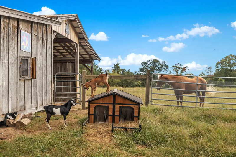 Events - Thrive Farm